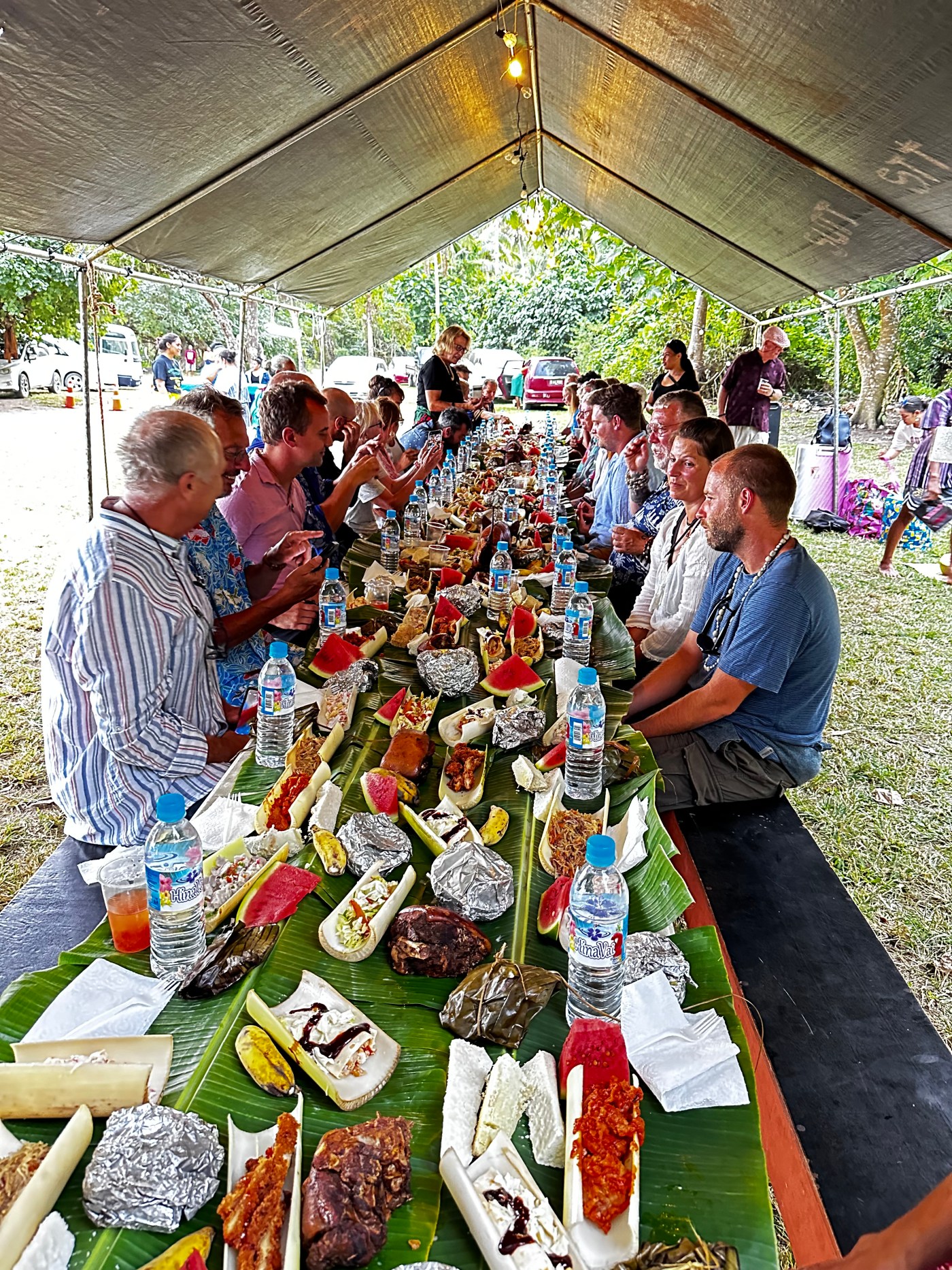 Tonga, where “A great feast of piglets, taro, yams, bananas and ...